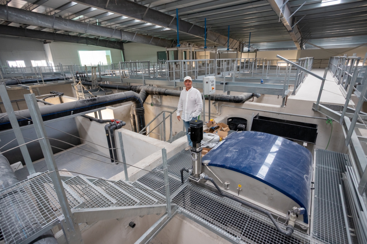 Aquaculture amplía objetivos en su piscifactoría de Alicante: de la ...