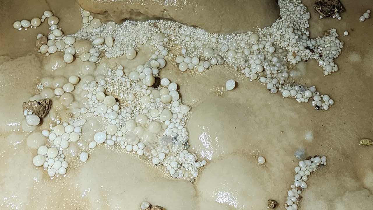 How a 500ft Cave Revealed a Hidden Trove of Ancient Pearls