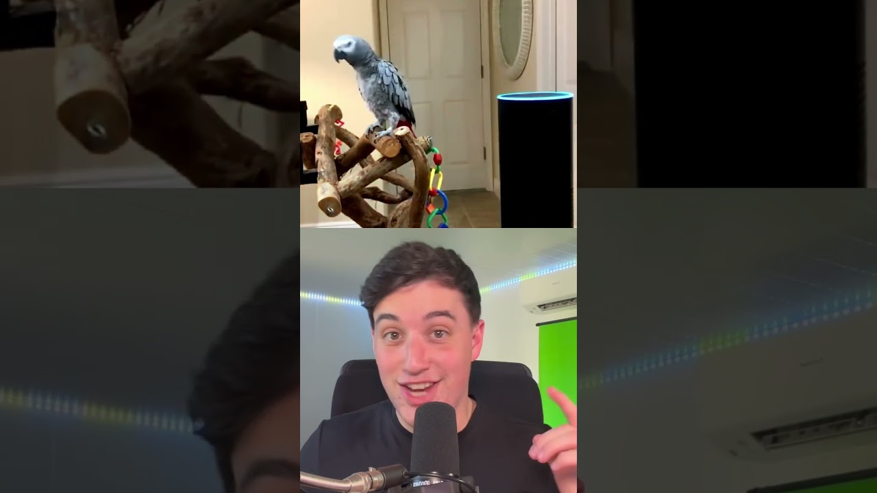 Animals that learned to mimic human speech surprisingly well