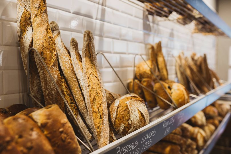 One type of bread can help with weight loss and lowering cholesterol ...