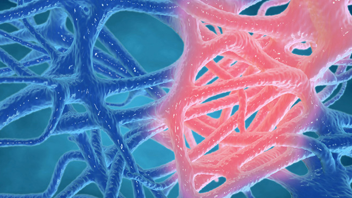 How Omega-3 Fights Inflammation Naturally: Expert Shares Benefits and ...