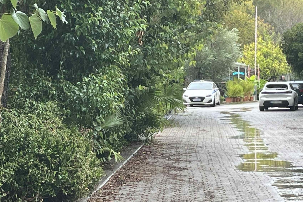 Διπλή ανθρωποκτονία στη Φοινικούντα: Οι συλλήψεις, η αποκάλυψη της ...