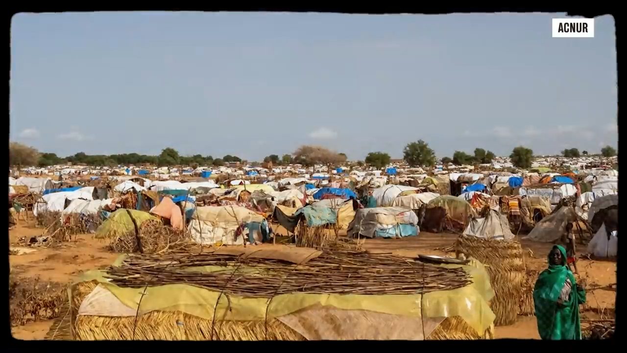 How the Janjaweed Became the Most Feared Militia in Africa