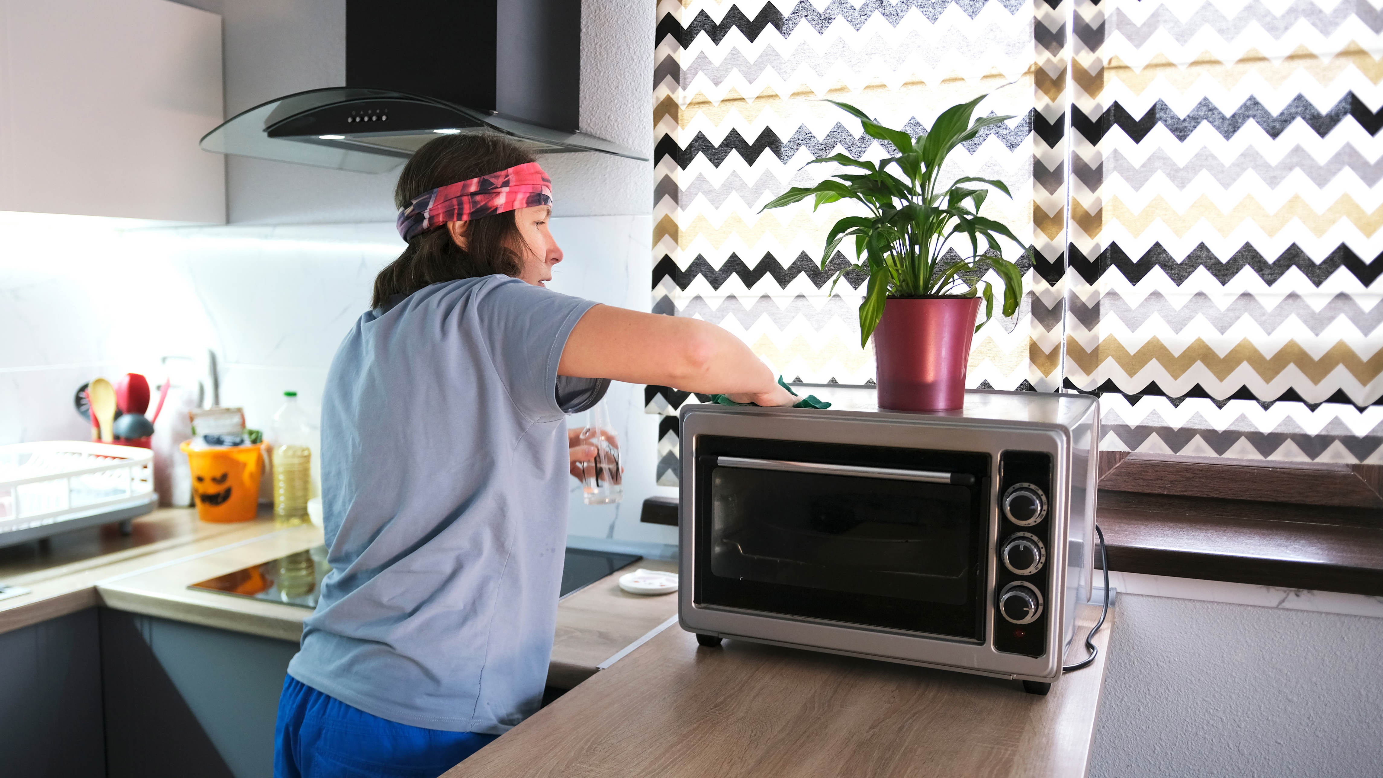 Homeowner goes to use toaster oven, horror at what’s waiting for them