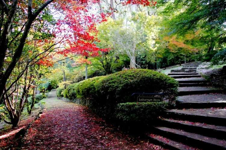 10 Must-See Wonders of Australia’s Blue Mountains