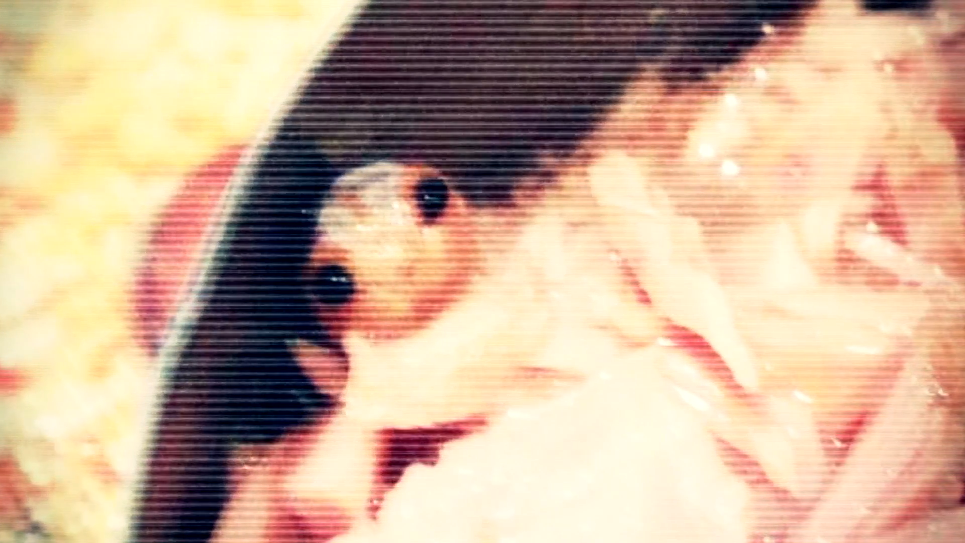 How One Woman Found a Living Creature Inside Her Can of Tuna