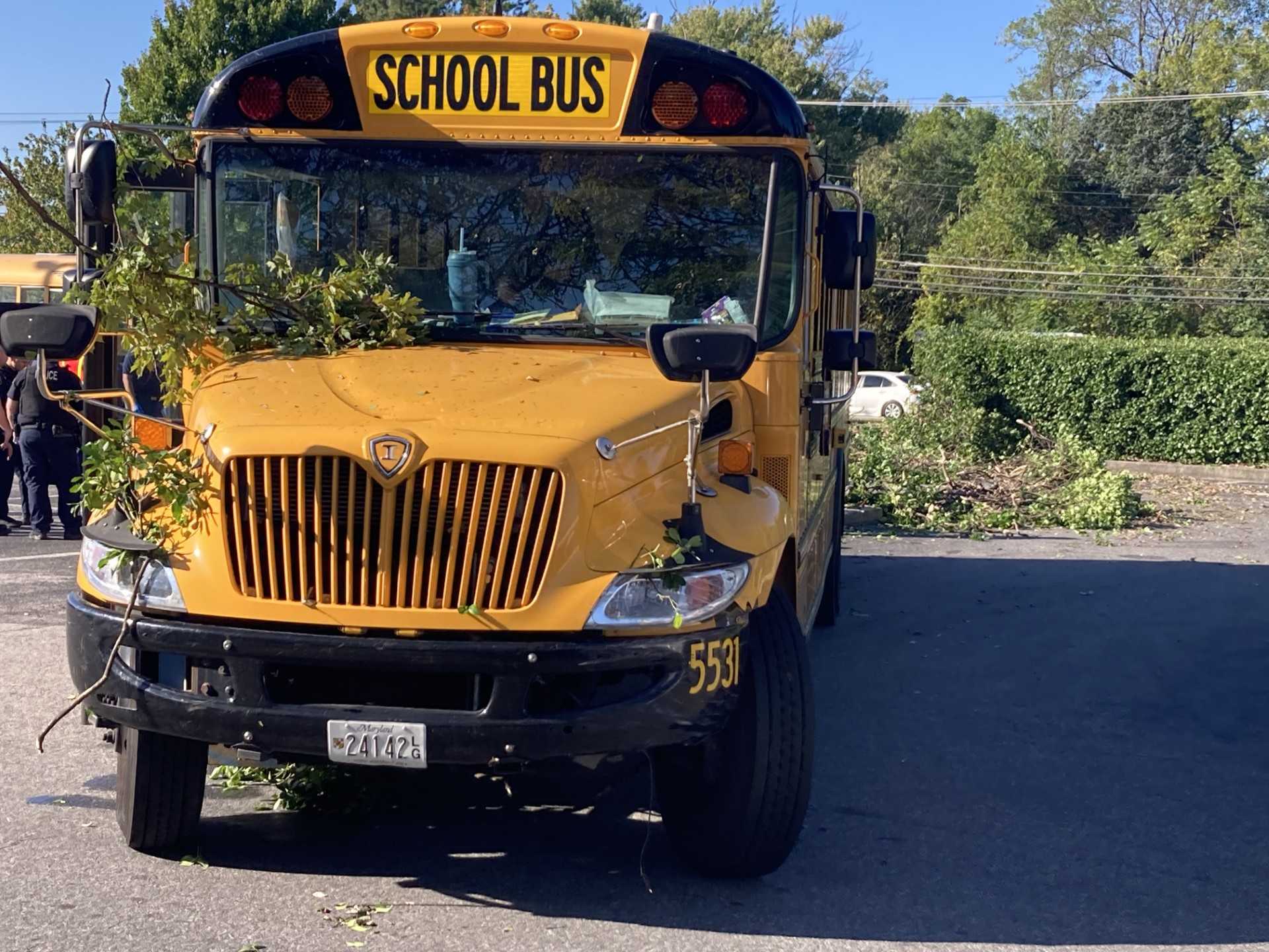 7 students suffer minor injuries in school bus crash