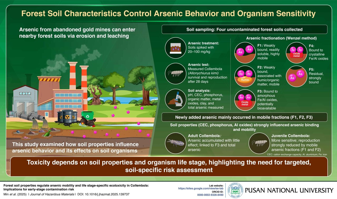 How forest soil properties influence arsenic mobility and toxicity in ...
