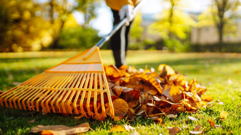 How To Clear Away Leaves Without A Leaf Blower