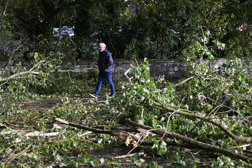 Tragedy as man killed by falling tree as Storm Amy ripped through UK