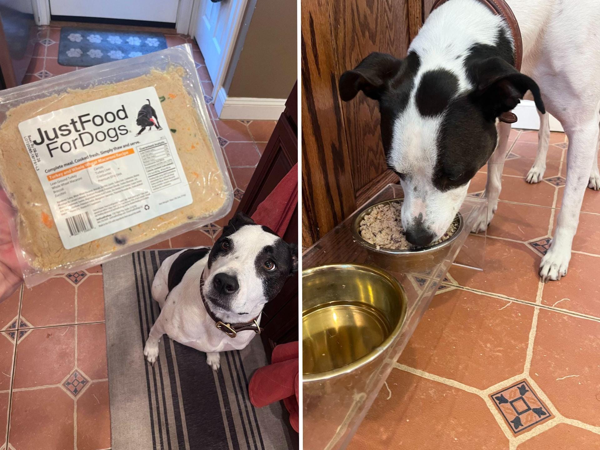 I've tested the most popular fresh dog food brands with my pup, and ...