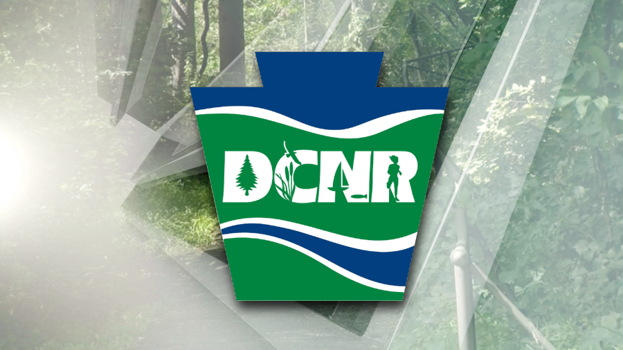 DCNR opening over 500 miles of state forest roads for hunting, recreation