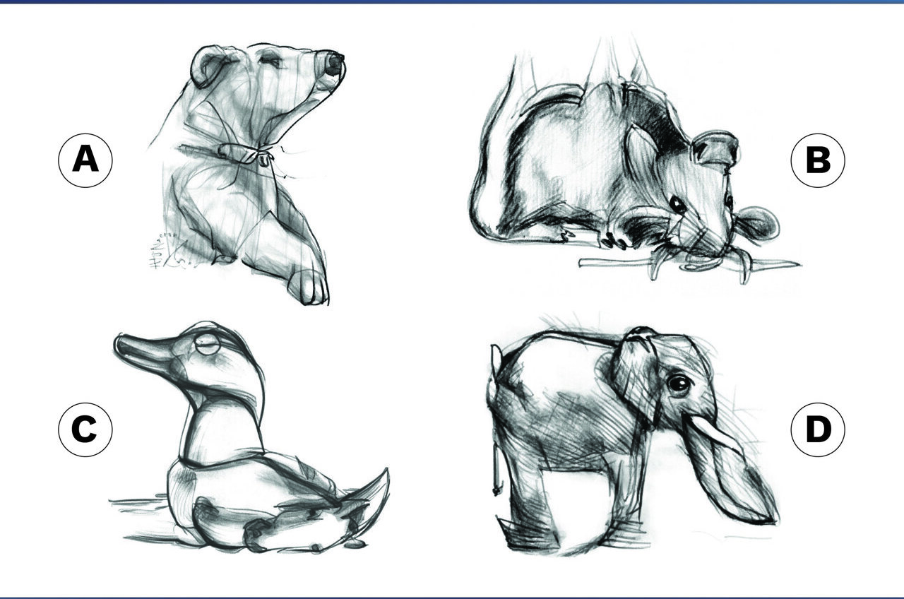 Seeing double: Visual anagrams that rotate open doors for brain research