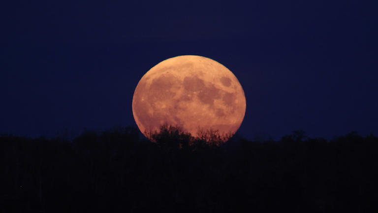 See the Super Hunter's Harvest Moon rise tonight!