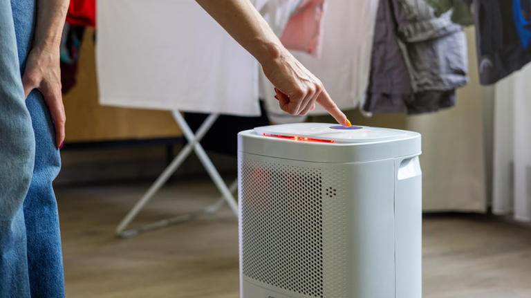 Do You Really Need A Dehumidifier If You Already Have An AC Unit?