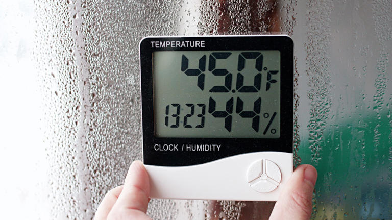 Do You Really Need A Dehumidifier If You Already Have An AC Unit?