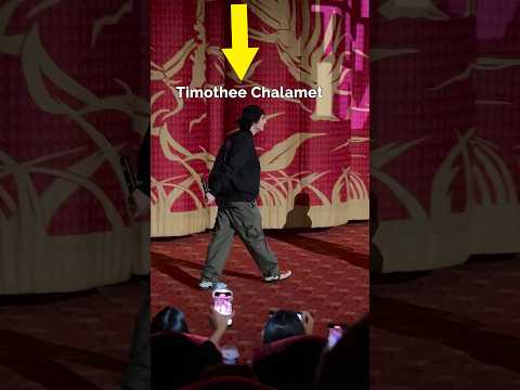 Timothy Chalamet invited me to watch Wonka