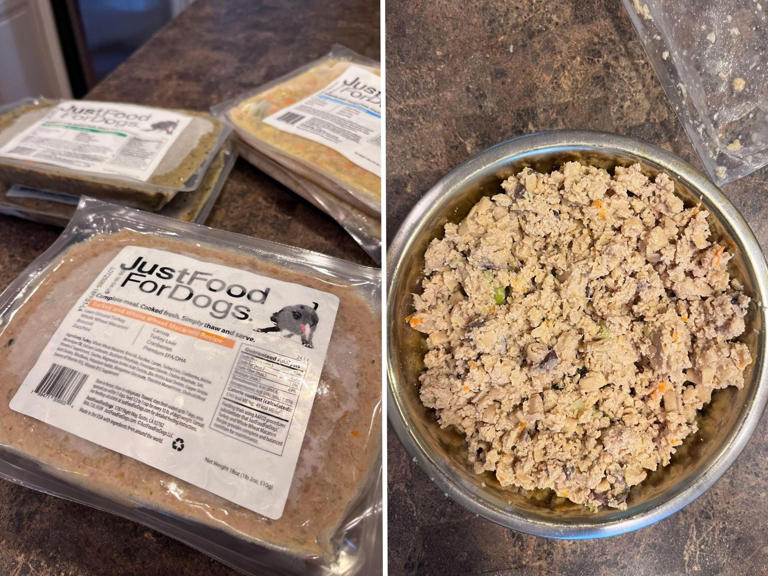 I've tested the most popular fresh dog food brands with my pup, and ...