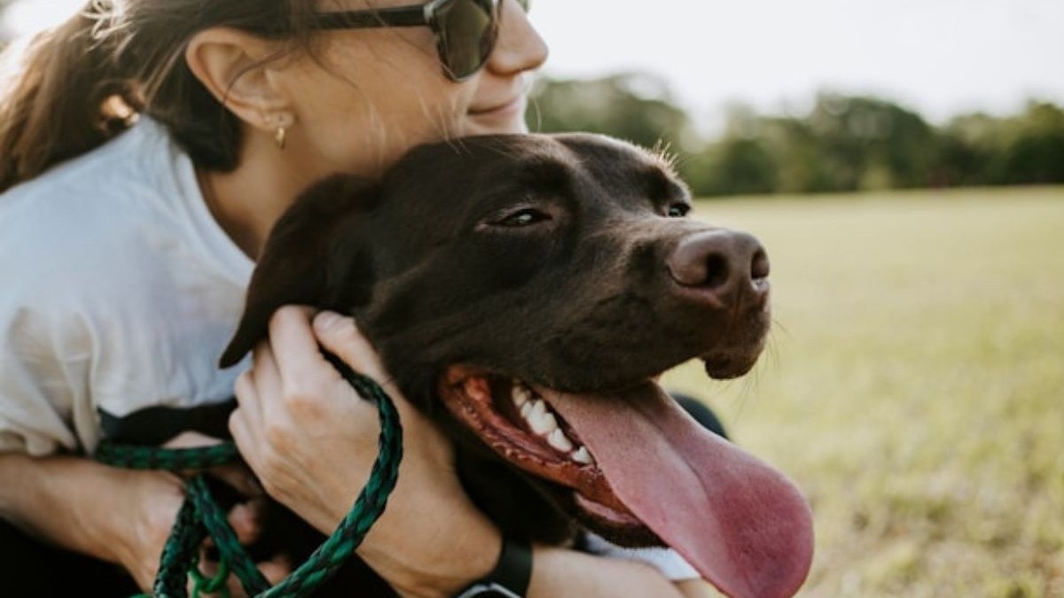 Why dogs remember more than we think (and how they use those memories ...