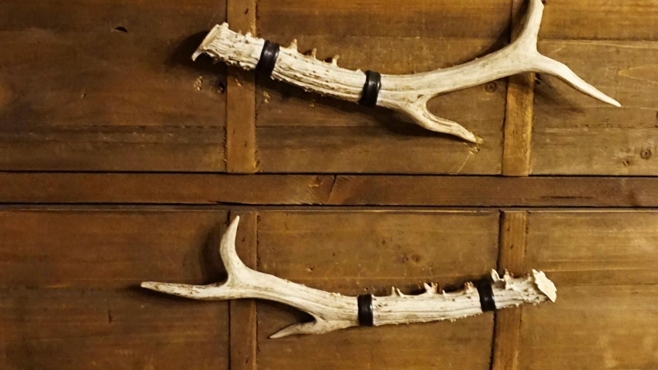 Ancient 7,500-year-old antler revealed as sacred weapon