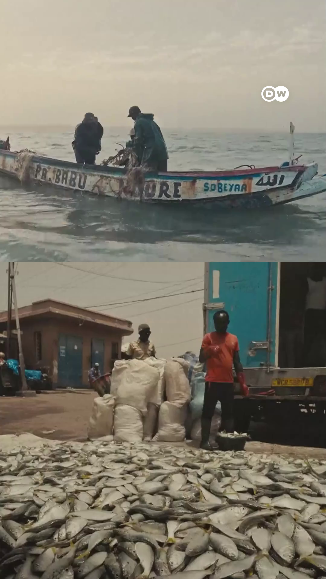 Fish wars: Local fishers against foreign-owned trawlers