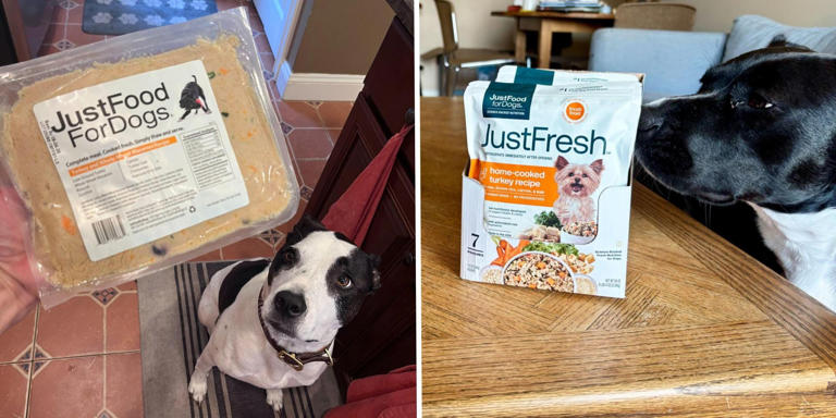 I've tested the most popular fresh dog food brands with my pup, and ...