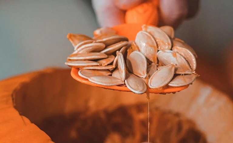 Health Tips - Eating pumpkin on an empty stomach is beneficial; learn ...