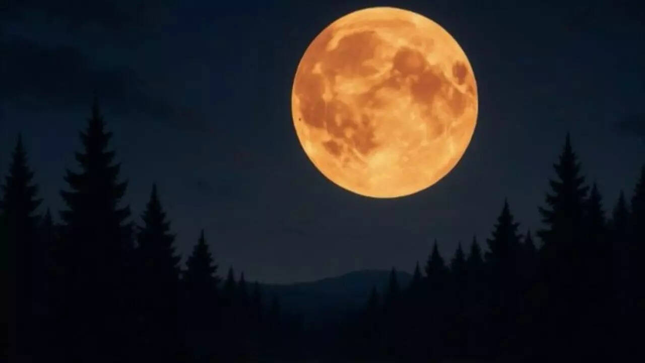 Rare celestial show in the US: Four back-to-back supermoons to shine over the US from October 2025