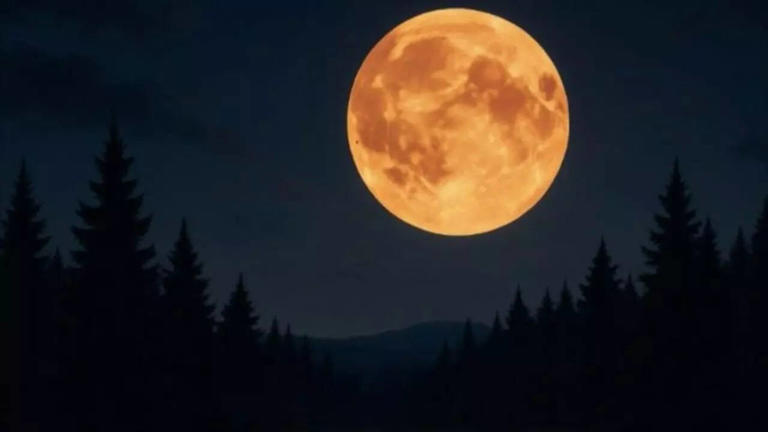 Rare celestial show in the US: Four back-to-back supermoons to shine ...