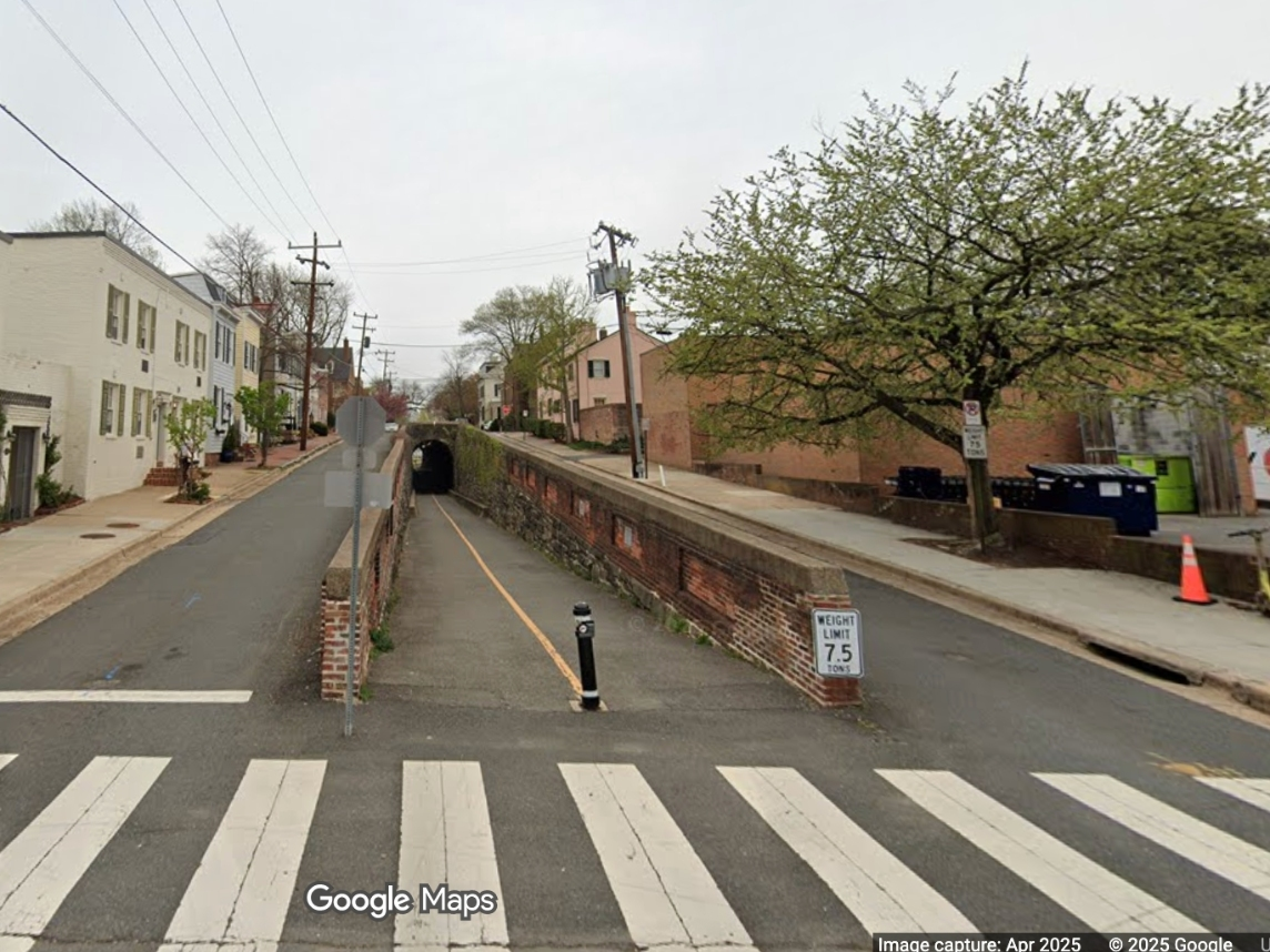 Invasive Plant Removal Efforts Coming Up In Alexandria