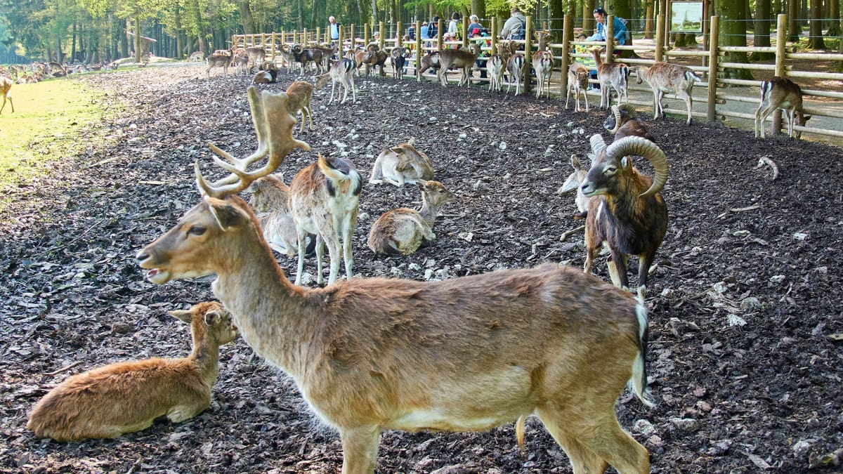 Wildpark Poing unter Deutschlands Top-Zoos