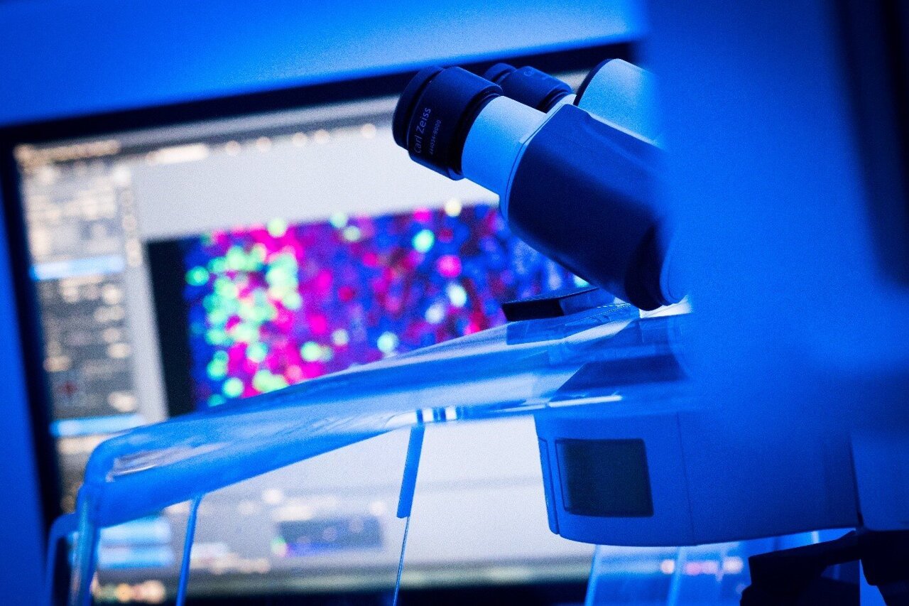 Local ancestry inference method could improve accuracy of genetic ...