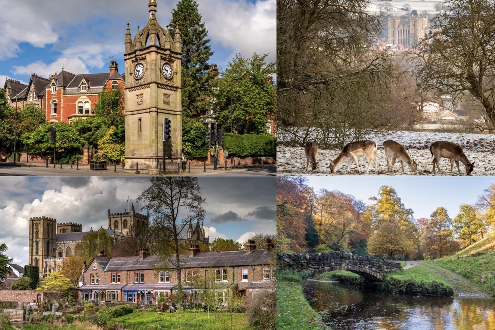 Ripon Green Fair to offer a 'fair and balanced' debate on city's moves towards a new speed limit