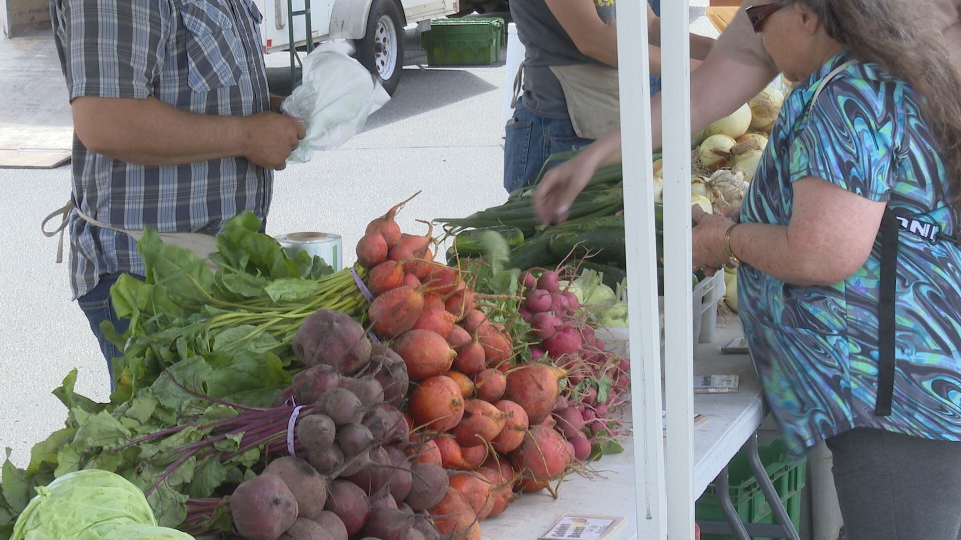 South Carolina ‘Senior Farmers Market Nutrition Program’ deadline ...