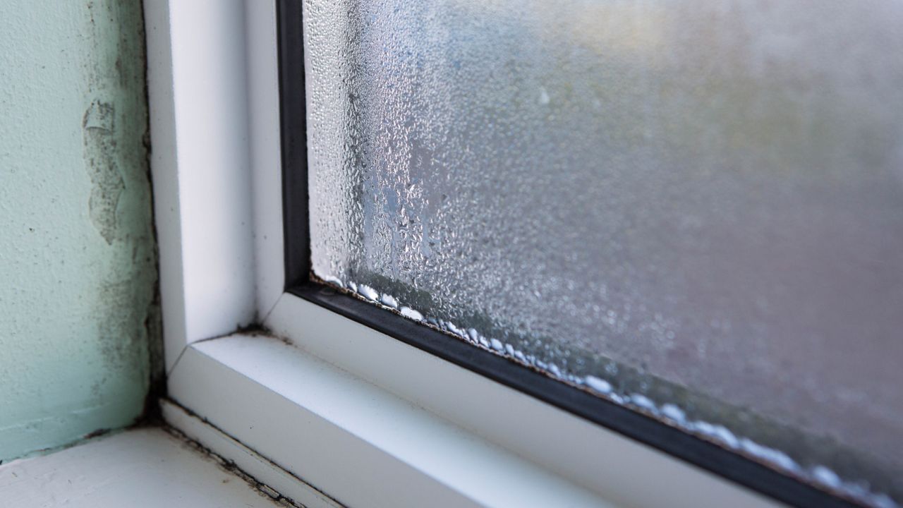 Experts reveal the hidden dangers of condensation — and tips to prevent ...