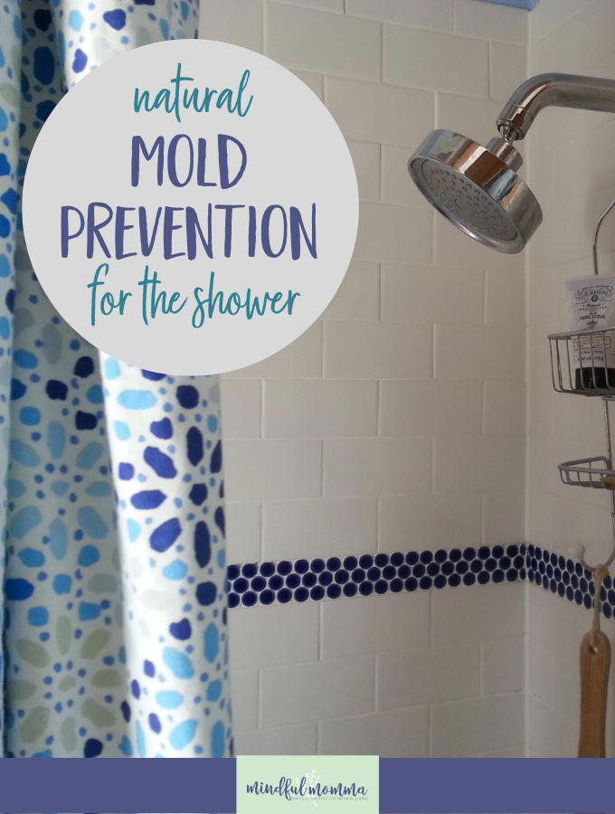 How To Avoid Mold In Shower