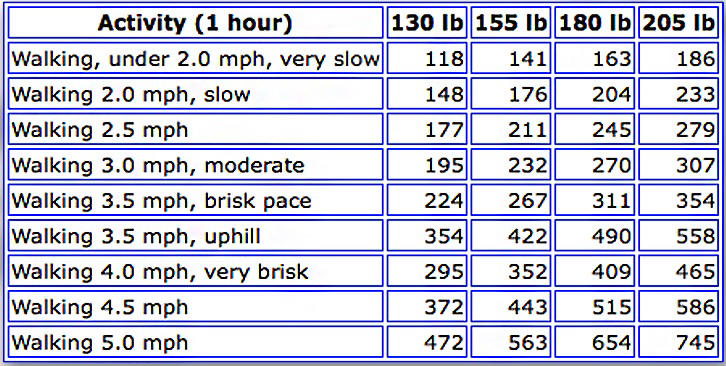 The Best Treadmill Walking Workouts for Every Fitness Level