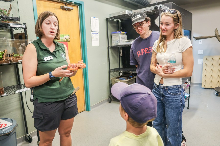 Artist visits Denver Zoo ahead of concert at Red Rocks