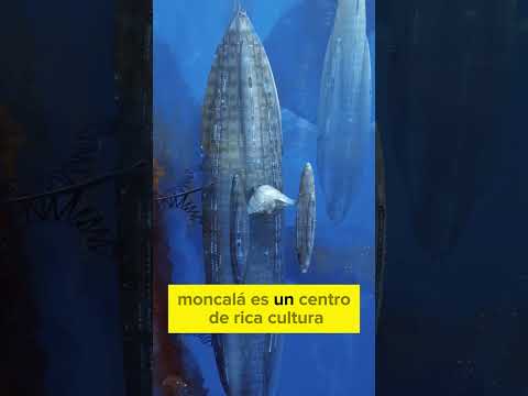 Mon Cala - planetas Star Wars #starwars #sabiasque #curiosidades #moncala