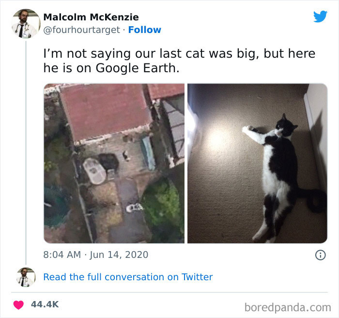 50 Times People Spotted ‘Absolute Units’ And Just Had To Share Pics ...