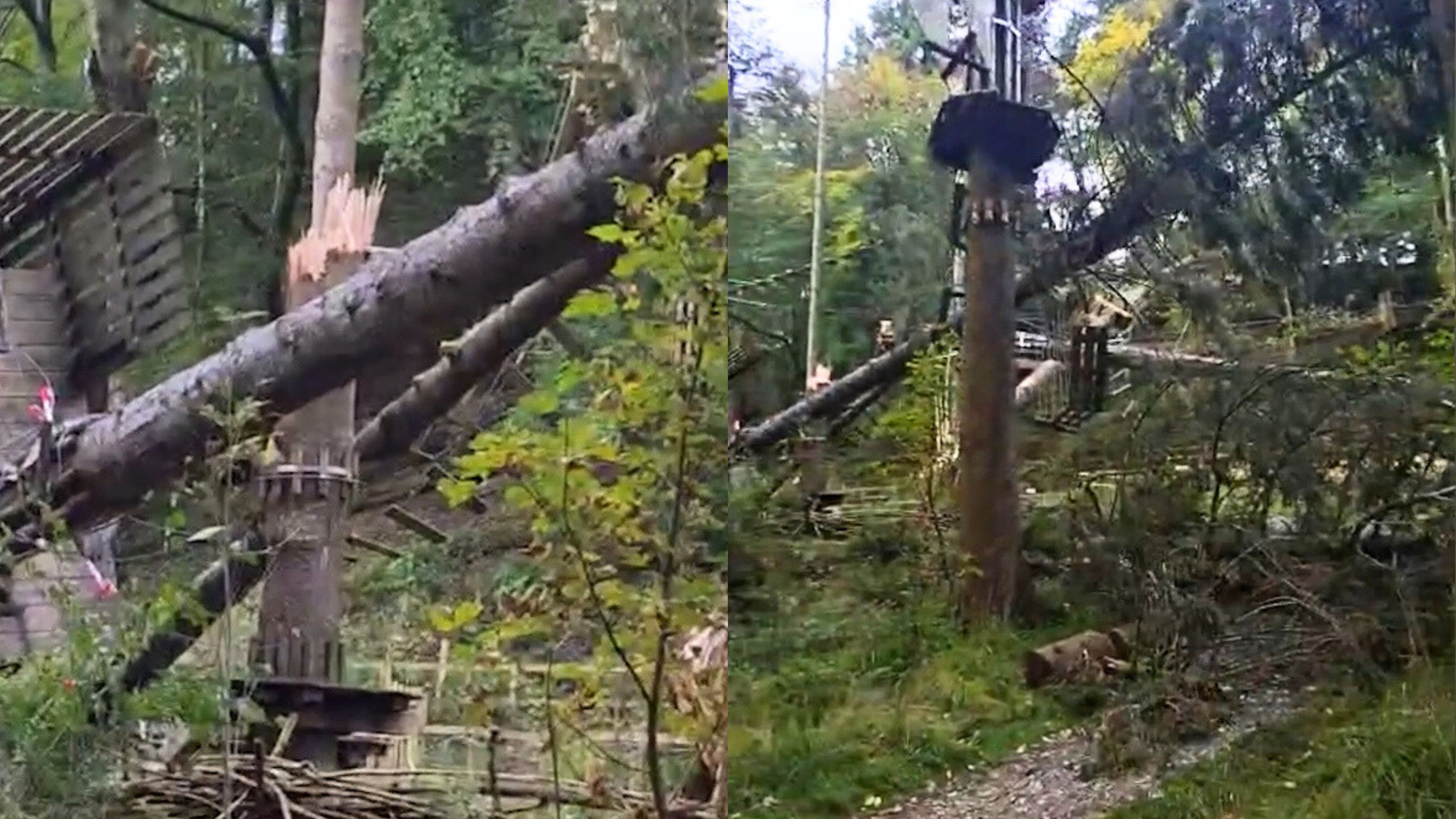 Dramatic footage shows destruction at Go Ape site after Storm Amy