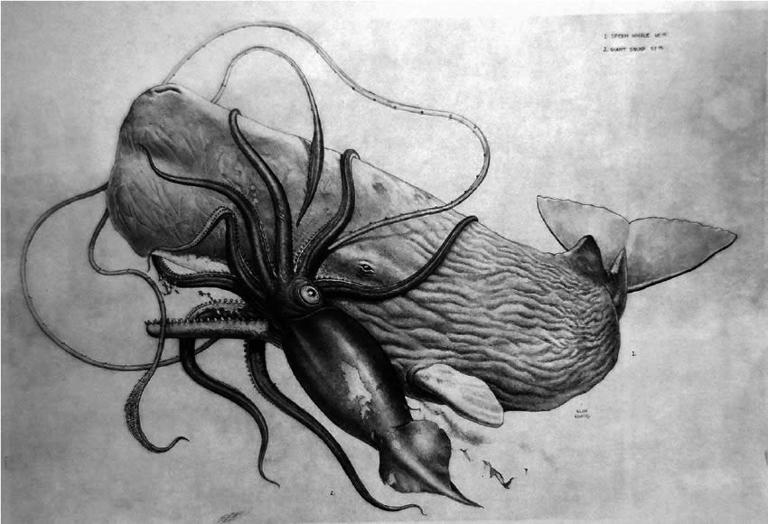 “It’s Real”: Scientists Have Successfully Solved the Mystery of the ...