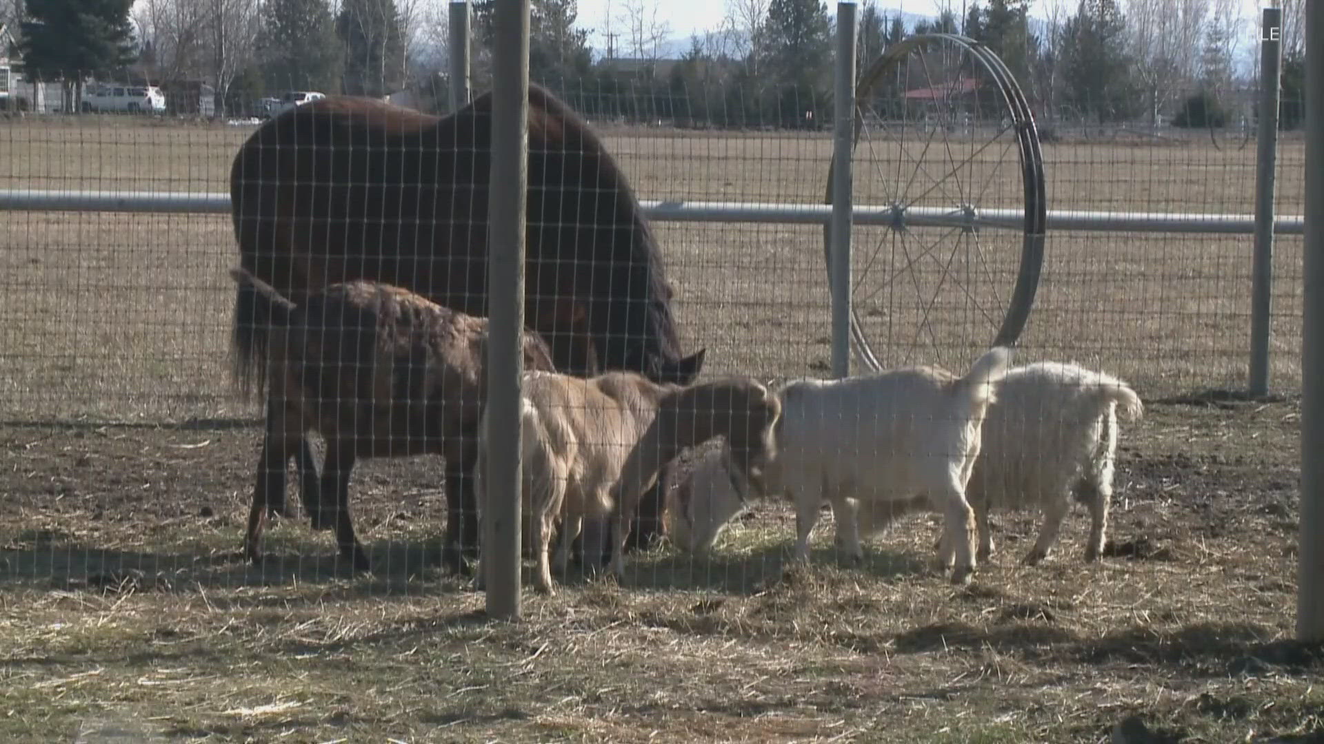 Kootenai County losing farmland