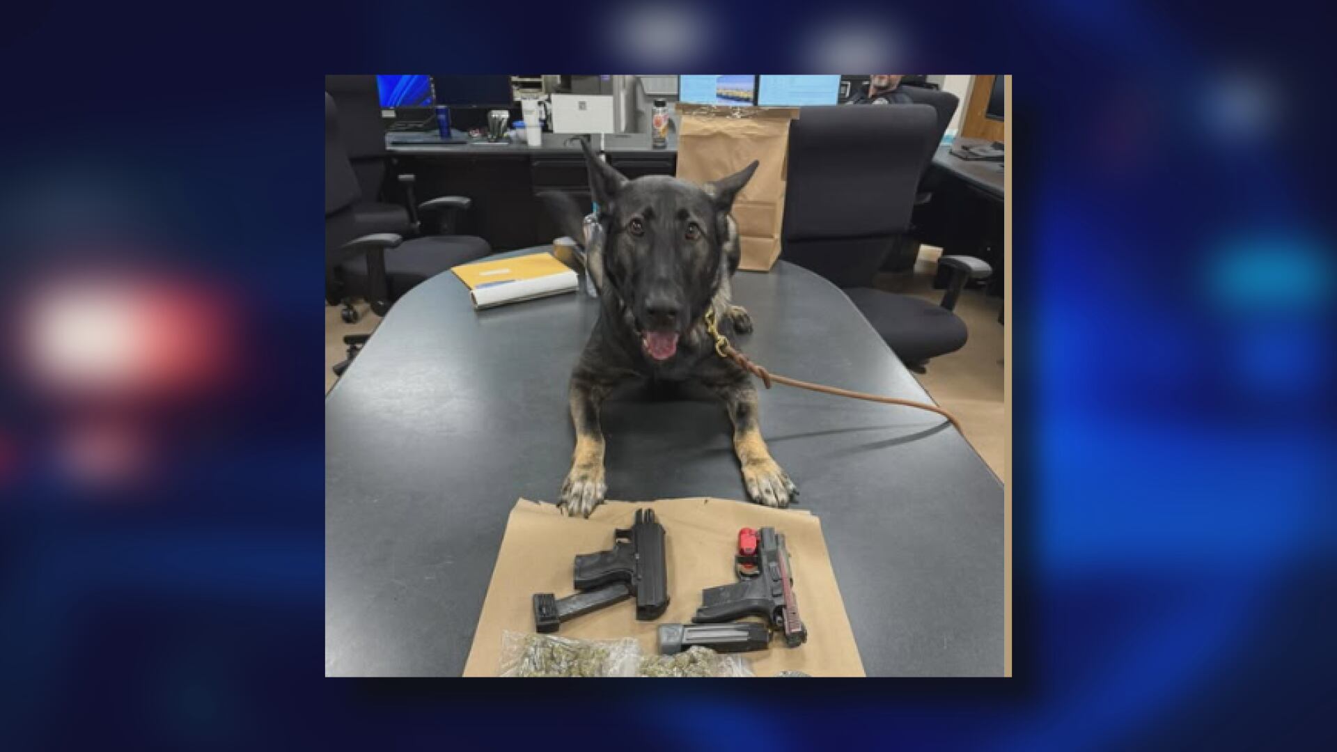 Seymour man arrested for car break-ins, drug possession