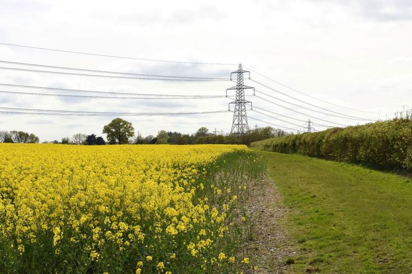 How major pylon project could change the look of the Essex countryside
