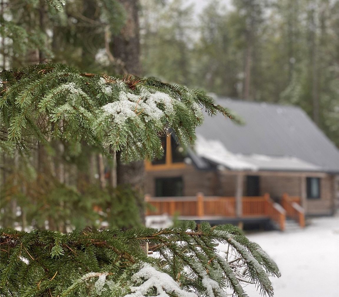 Rustic Cabin Retreat in Montana with fire pit, Nearby lakes & trails ...