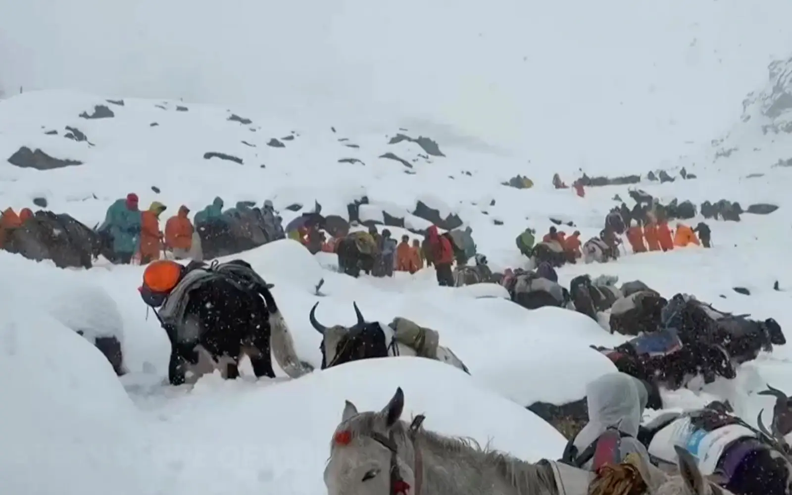 1 hiker dead, hundreds rescued after heavy snowfall in China