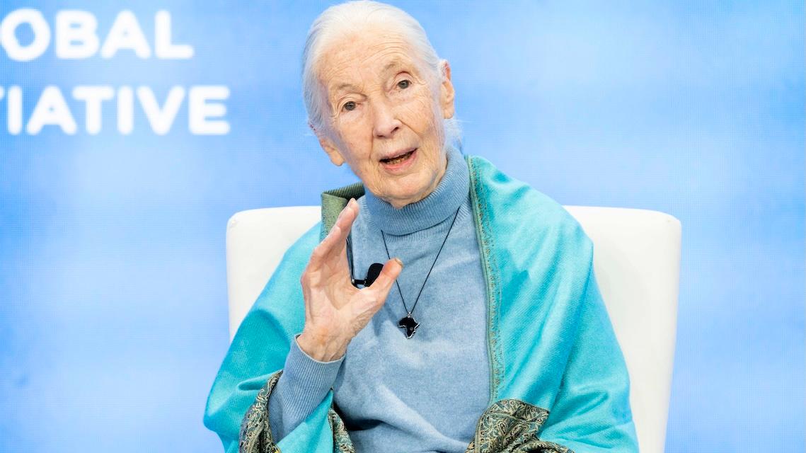 Jane Goodall Instills Hope in the World With Final Interview on 'Famous ...