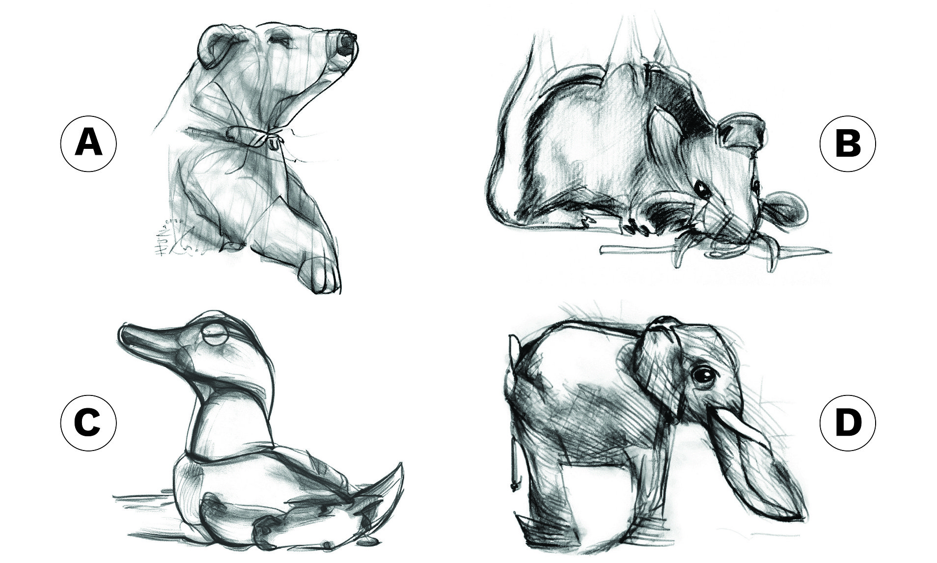 Can YOU see them? Scientists create 'visual anagrams' with two animals ...