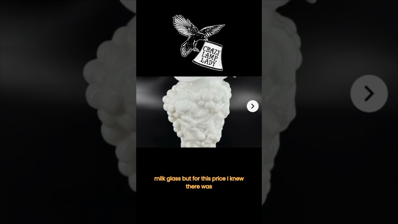 Insane Goodwill Flip! Awesome Owl